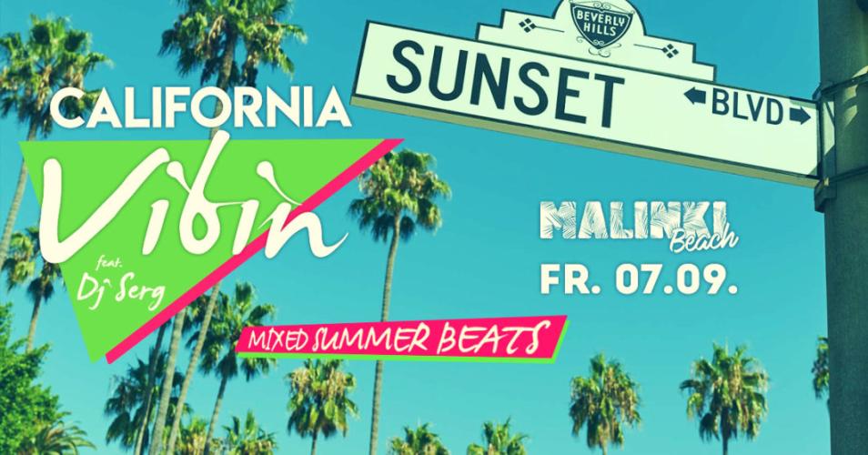 Party - California Vibin feat. DJ Serg - Mixed Summer Beats - Malinki ...