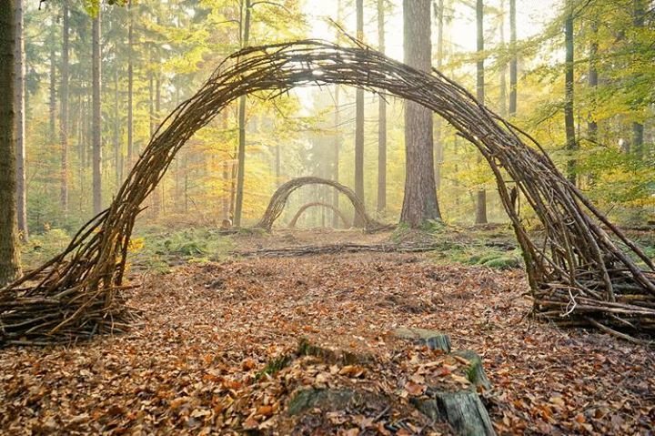 Party - David Klopp — Kunst in freier Natur - Kulturhaus Schwanen - 20. ...