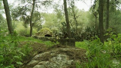 Party - The Village Under The Forest - Babylon - 08.07.2017