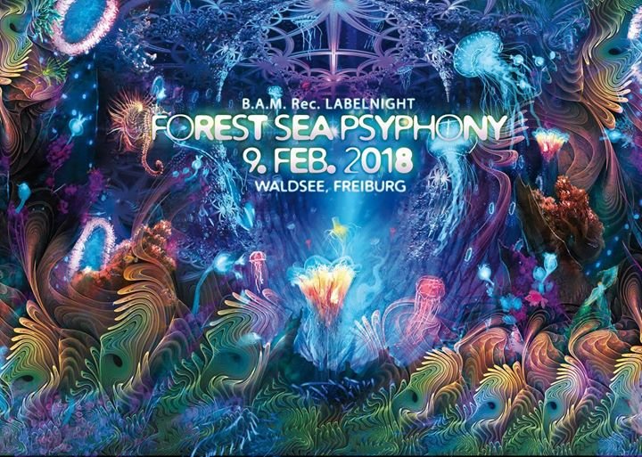 Party - °• Forest Sea Psyphony •° - Waldsee - 09.02.2018