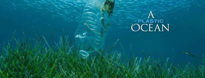 Party - A Plastic Ocean Film & Diskussion - Senckenberg Naturmuseum ...