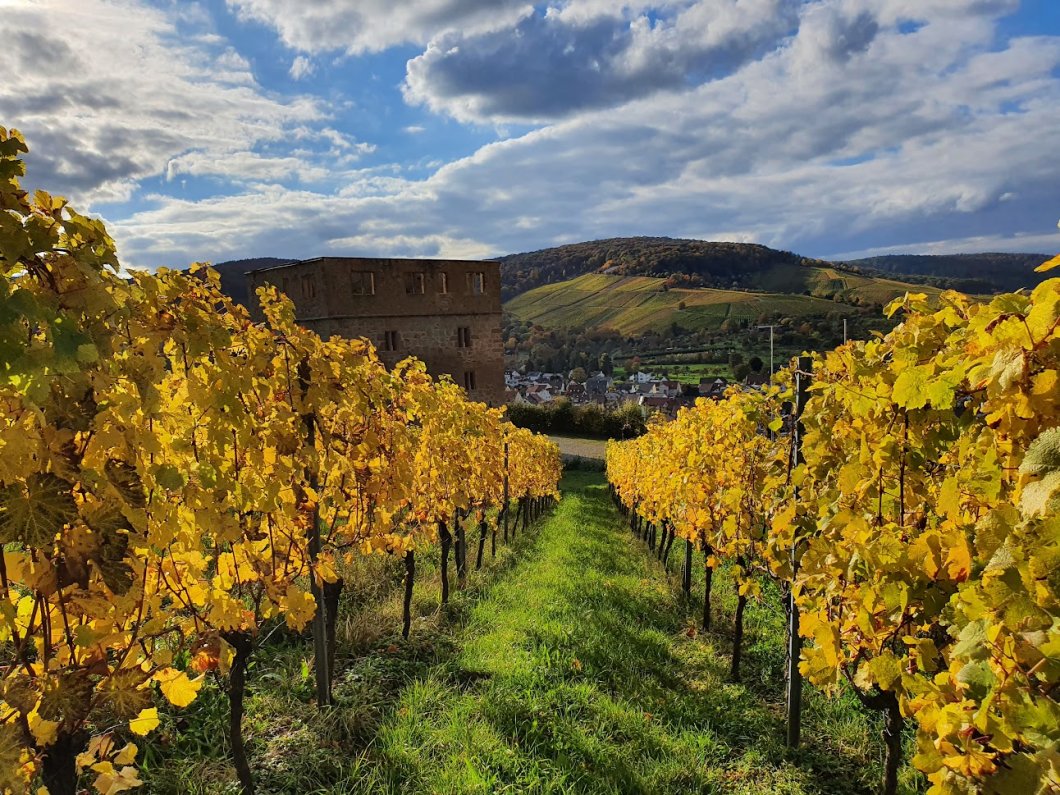 Weinerlebnis - Stetten im Remstal - Ein Ort mit Prädikat - Region ...